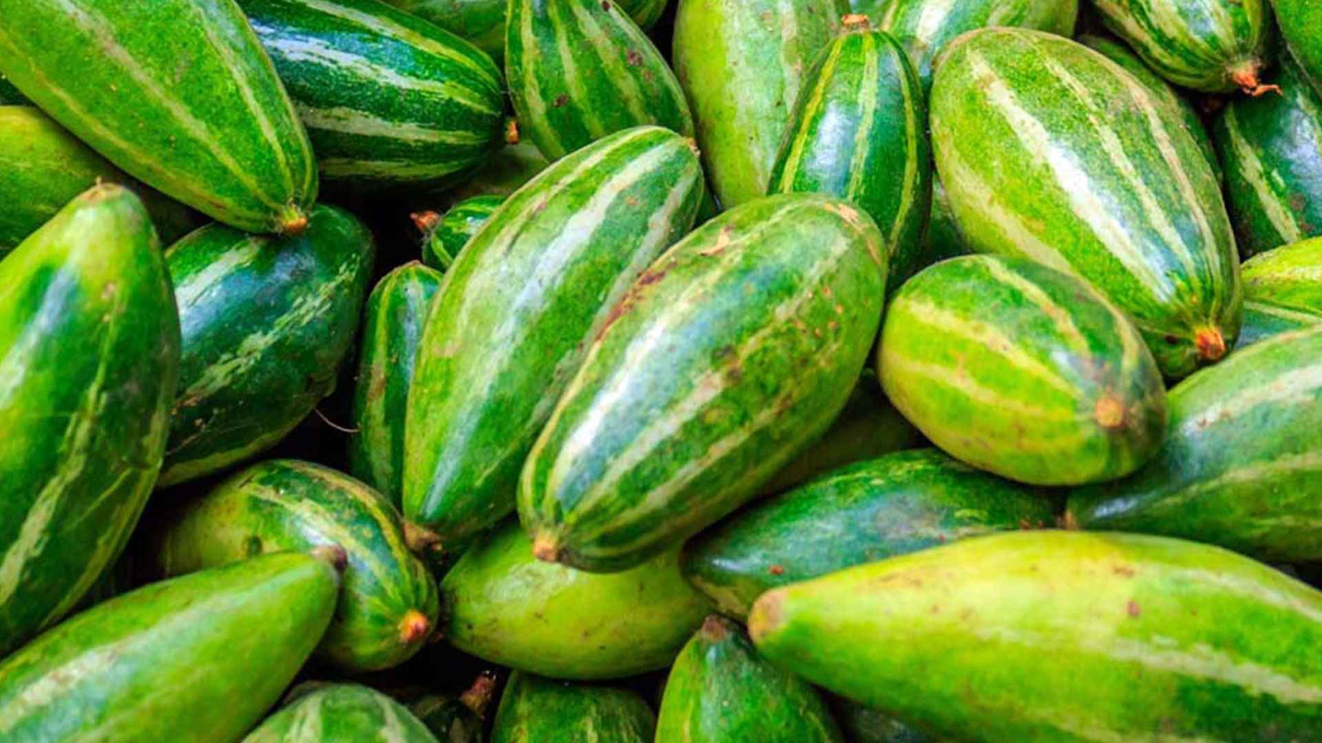 পটল দিয়ে এতকিছু রান্না করা যায়!